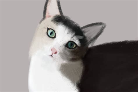 Very Crappy Failed Tray On A Catfailed Realism By Cutie4pi3 On