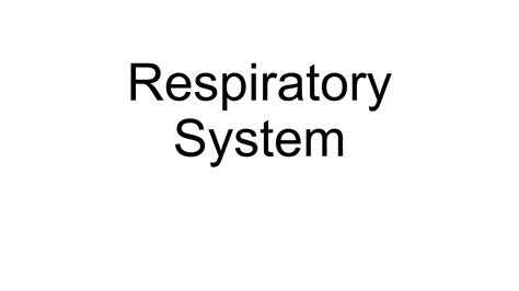 Respiratory System Pptx