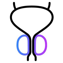 Gutartige Prostatavergrößerung