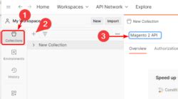How To Test Magento API In Postman Example