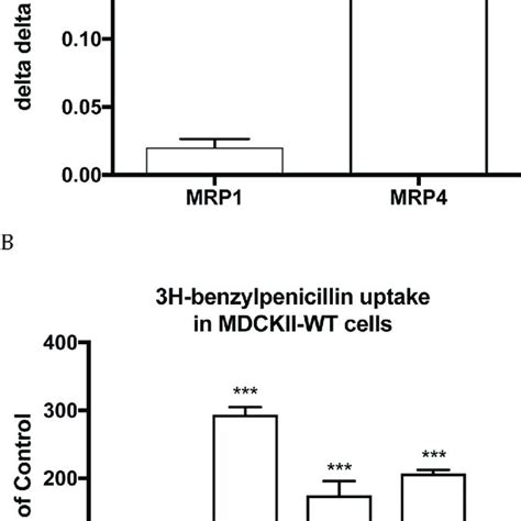 Mrna Expression Of Mrp Transporters In Mdckii Wt Cells A And [ 3 Download Scientific Diagram