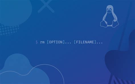Rm Command In Linux Bytexd