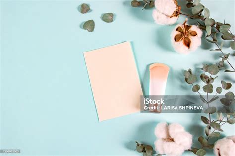 빈 종이 봉투 초대편지 유칼립투스 잎 크림 항아리와 파란색 배경에 면화 꽃 모형 평면 평신도 상단보기 천연 유기농 미용 제품 0