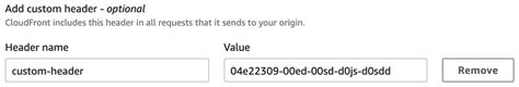 Implementation Of Custom Header To Origin Requests