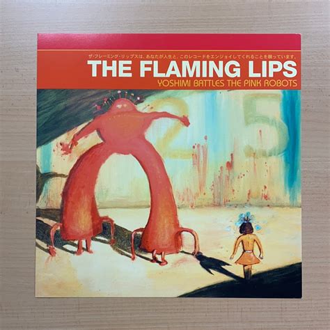 The Flaming Lips 2002 Original Vinyl Poster Insert 12x12 Record Art