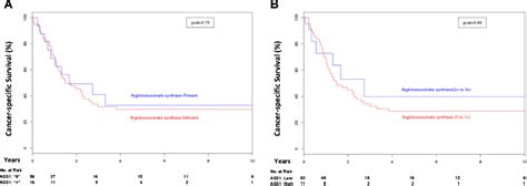 High Grade Neuroendocrine Carcinoma Of The Urinary Bladder Download Scientific Diagram