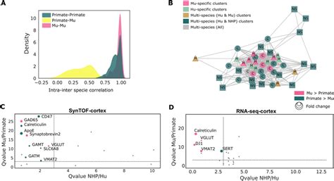 Divergence In Presynaptic Molecular Signatures Between Primate And Mu Download Scientific