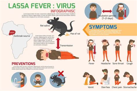 Lassa Fever Virus Symptoms Austra Health