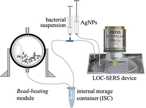 Scheme Of Sample Preparation Including The Sample Lysing Module