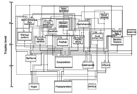 48 Flowchart Of Trophic Interactions In The Southwestern Japaneast Sea