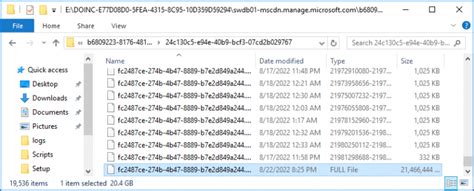 Deploying Large Applications Using Microsoft Intune Deployment Research