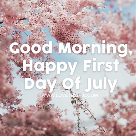 Focus Of Cherry Blossoms Good Morning Happy First Day Of July