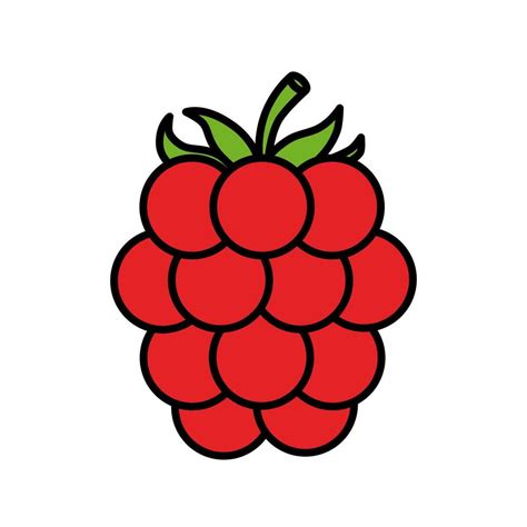 Flat Raspberry Illustration 50596993 Vector Art At Vecteezy