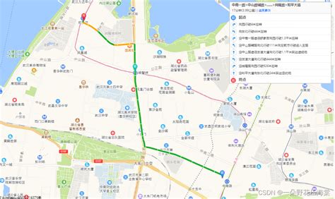 vue 高德地图（vue amap）的基本使用：添加标记、poi关键字搜索、路线规划 方法二 vue amap文档 csdn博客