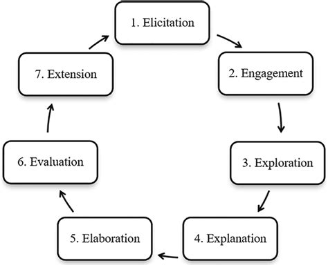 Chart Of The Seven Stagesphases Of The Learning Cycle Download
