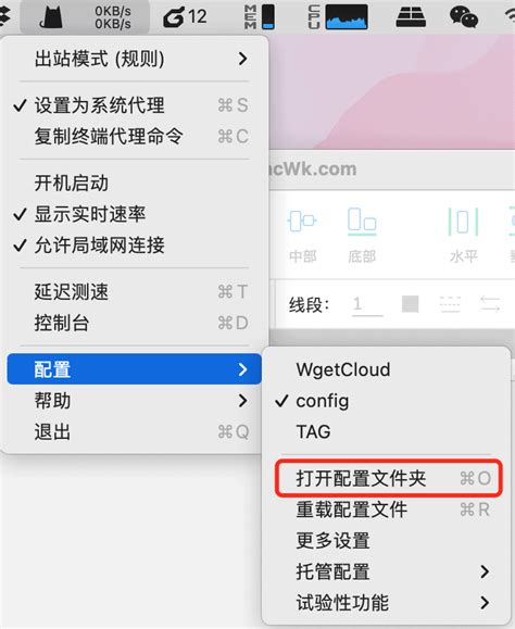 搬瓦工搭建V ray科学上网新手指南 Clash官网导航