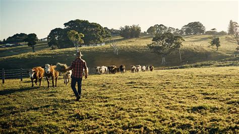 Australias Agriculture Sector Brings ‘fairly Outsized Impact In