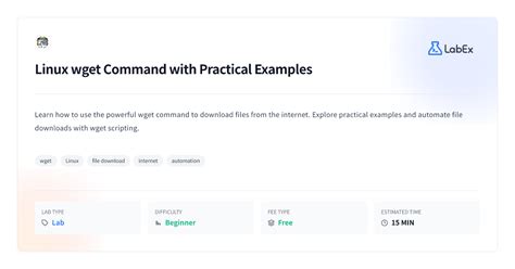 Linux Wget Command With Practical Examples Labex