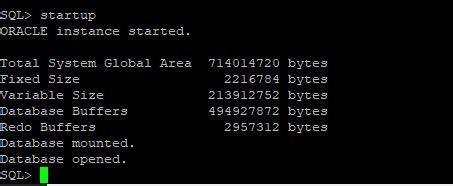 Oracle Database Start Sqlplus Linux Administrator System Administrator IT Infrastructure Blogs