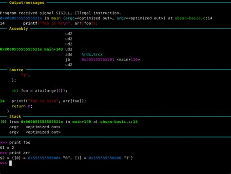 pocket article undefined behavior sanitizer trap on error interrupt