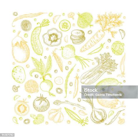 오이 토마토 고추 가지 감자 완두콩 당근 브로콜리와 야채 벡터 구성 벡터 야채 건강 식품 디자인 서식 파일입니다 디자인 메뉴 조리법 포스터에 아주 좋아 가지 채소에 대한