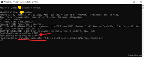 Paddle安装paddle怎么添加库 Csdn博客