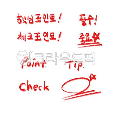 Text 텍스트 채점 학원 학교 사진 이미지 일러스트 캘리그라피 Janice작가
