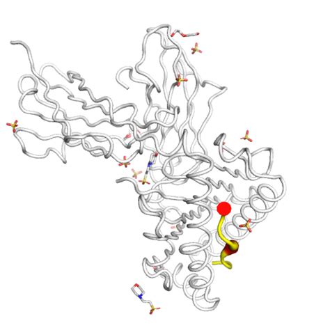 Ctnnb1 Gene Somatic Mutations In Cancer