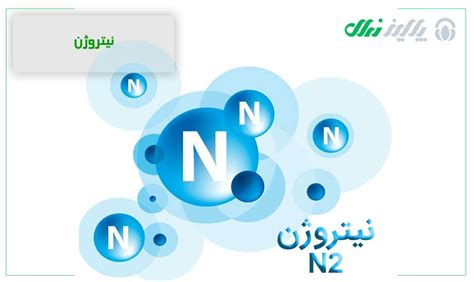 نیتروژن چیست و چه نقشی در زندگی گیاهان دارد؟