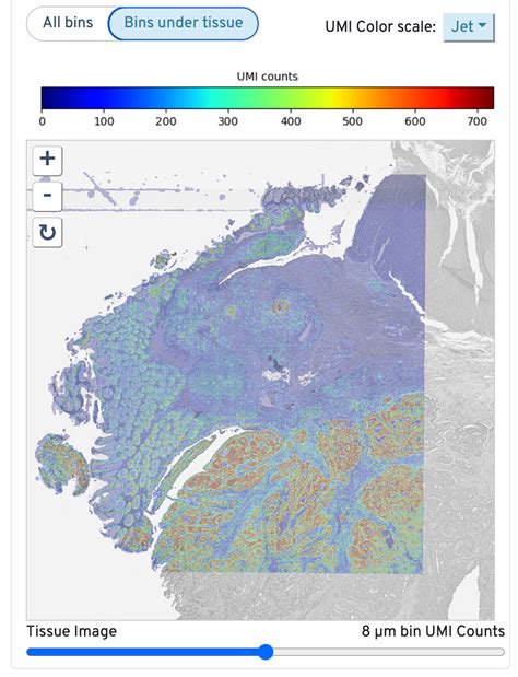 Space Ranger Web Summary Official 10x Genomics Support