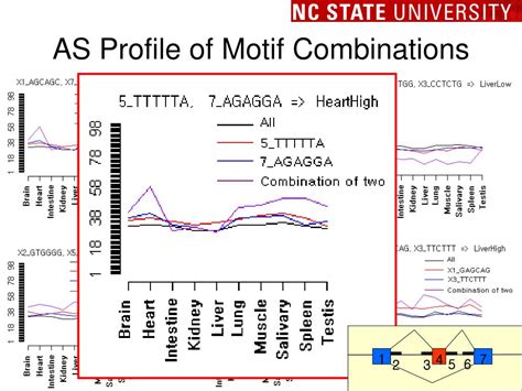 Ppt Mining Of Cis Regulatory Motifs Associated With Tissue Specific