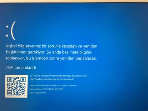 system service exception hatası destek360 teknoloji oyun