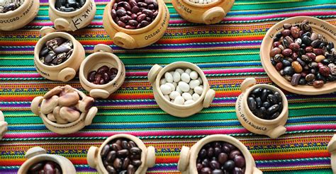 Legumbres Semillas Comestibles Clave Para Una Agricultura Sostenible Y