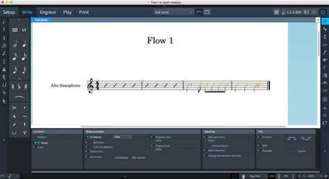 Slash Feature Scoring Notes