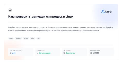 Как проверить запущен ли процесс в Linux Labex