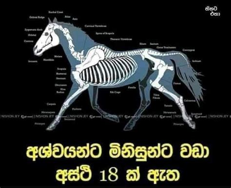 දැනුම් පොද දැනුම් පොද Added A New Photo