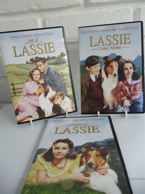 Lassie Come Homecourage Of Lassieson Of Lassie Dvd Trilogy Eur 694