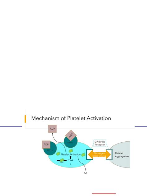 Anticoagulants Antiplatelets Structurebiology Pdf Coagulation Platelet