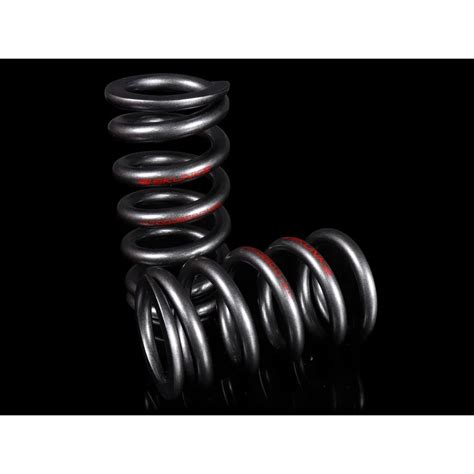 Skunk2 Pro S Ii Drag Spec Springs Marine Hardware Essentials For