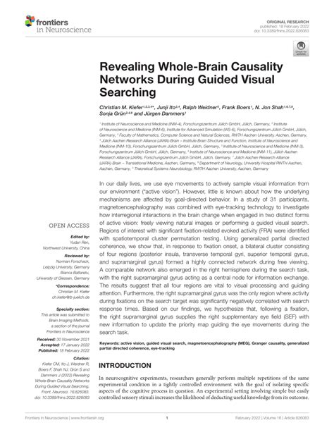 Pdf Revealing Whole Brain Causality Networks During Guided Visual Searching