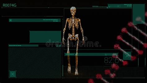 Animation Of Data Processing And Skeleton Over Dna Strand Stock Footage