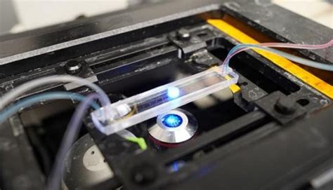 Magnetic Cell Sorting Could Speed Up Discovery Of New Cancer And Regenerative Drugs