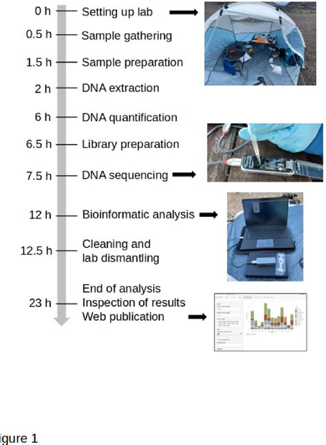 Figure 1 From In Situ Metagenomics A Platform For On ﬁeld Rapid Sequencing And Analysis Of