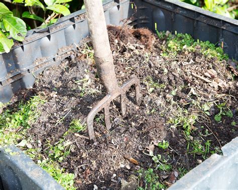 Easy Ways To Speed Up Composting For An Organic Garden Gardening Know How