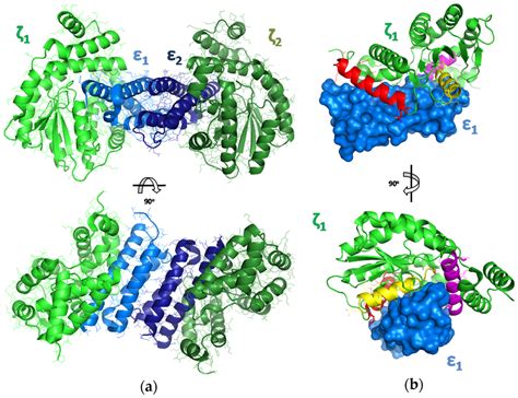 Toxins Special Issue Toxin Antitoxin System In Bacteria