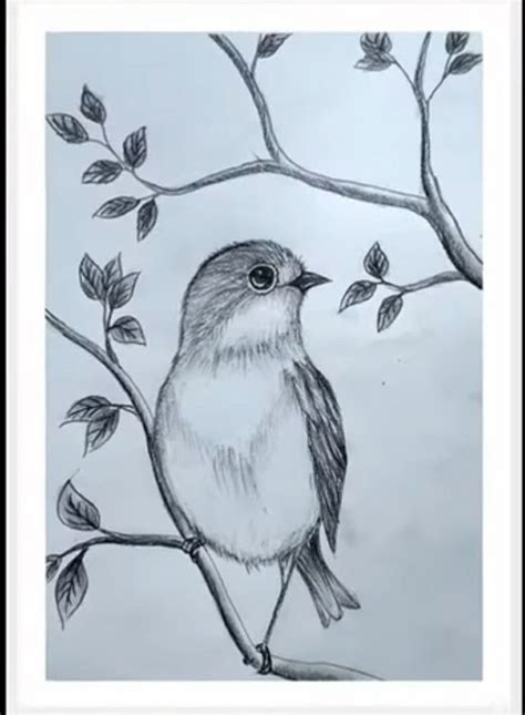 860 Ideas De Dibujos Sombreados En 2025 Dibujo Sombreado Dibujos