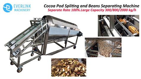100 separate rate cocoa pod opening machine