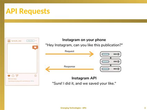 Applications Programming Interfaces Api Pptx