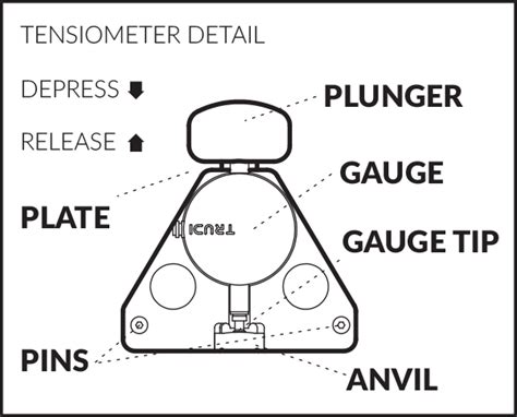 Using The Tensiometer Trudi Revolutionary Truing Machine Using The Tensiometer Trudi Revolutionary Truing Machine