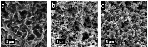Figure 3 From A Polyelectrolyte Colloidal Brush Based On Cellulose